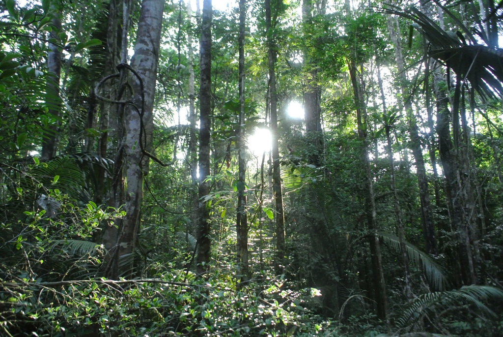 Habitats | Réserve Naturelle La Trinité